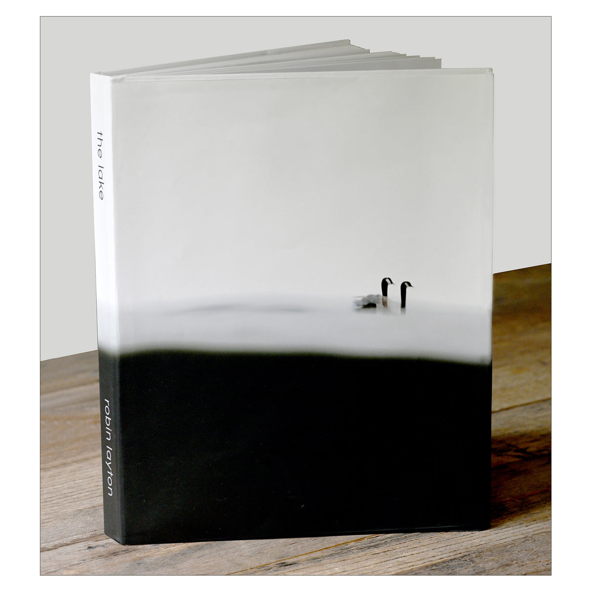 books – Robin Layton