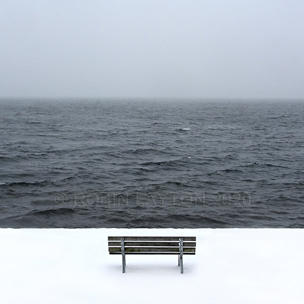 the lake – Robin Layton