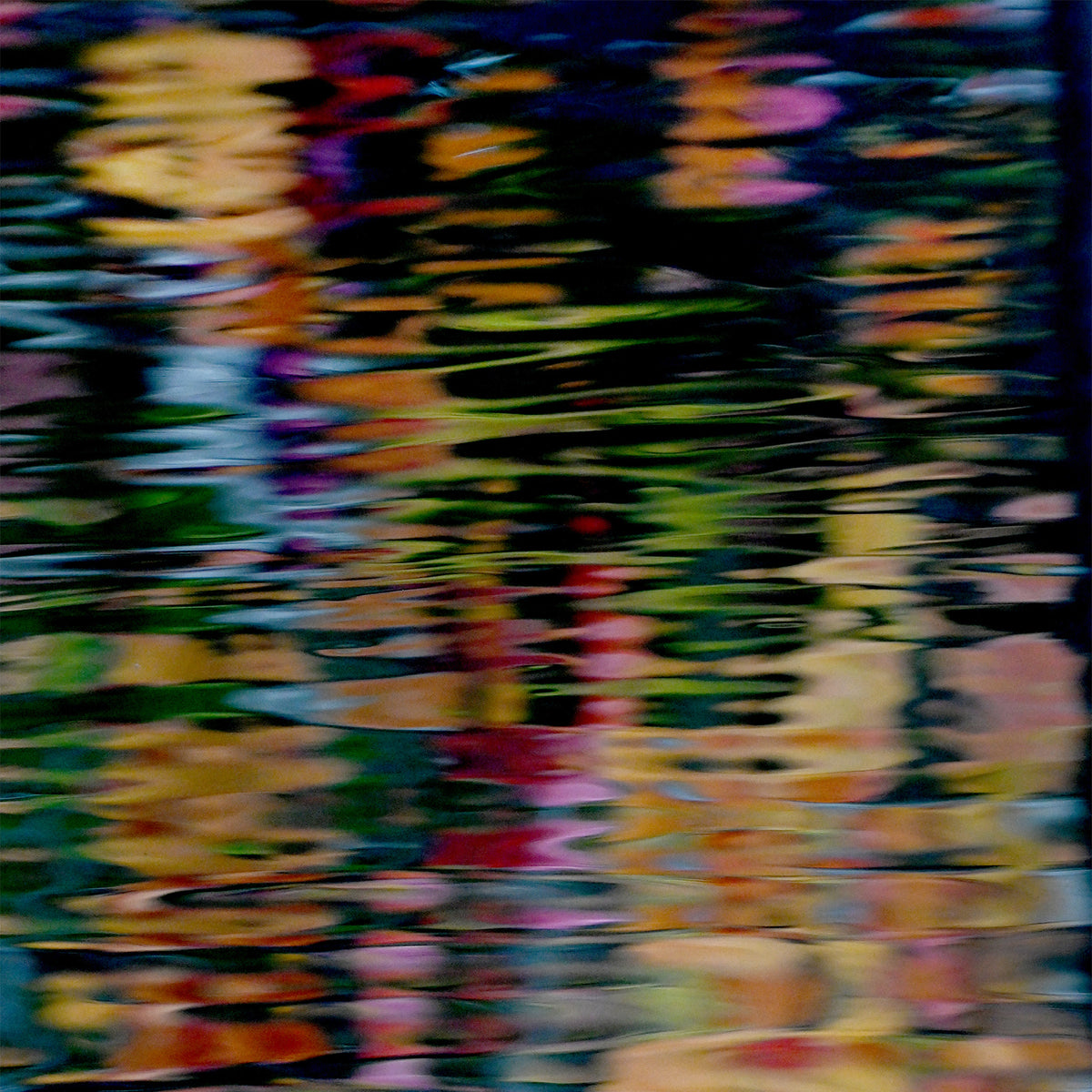 water – Robin Layton