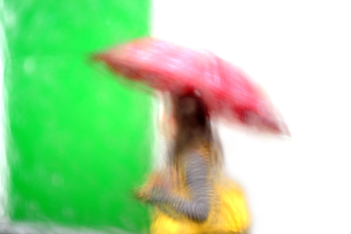 rain – Robin Layton