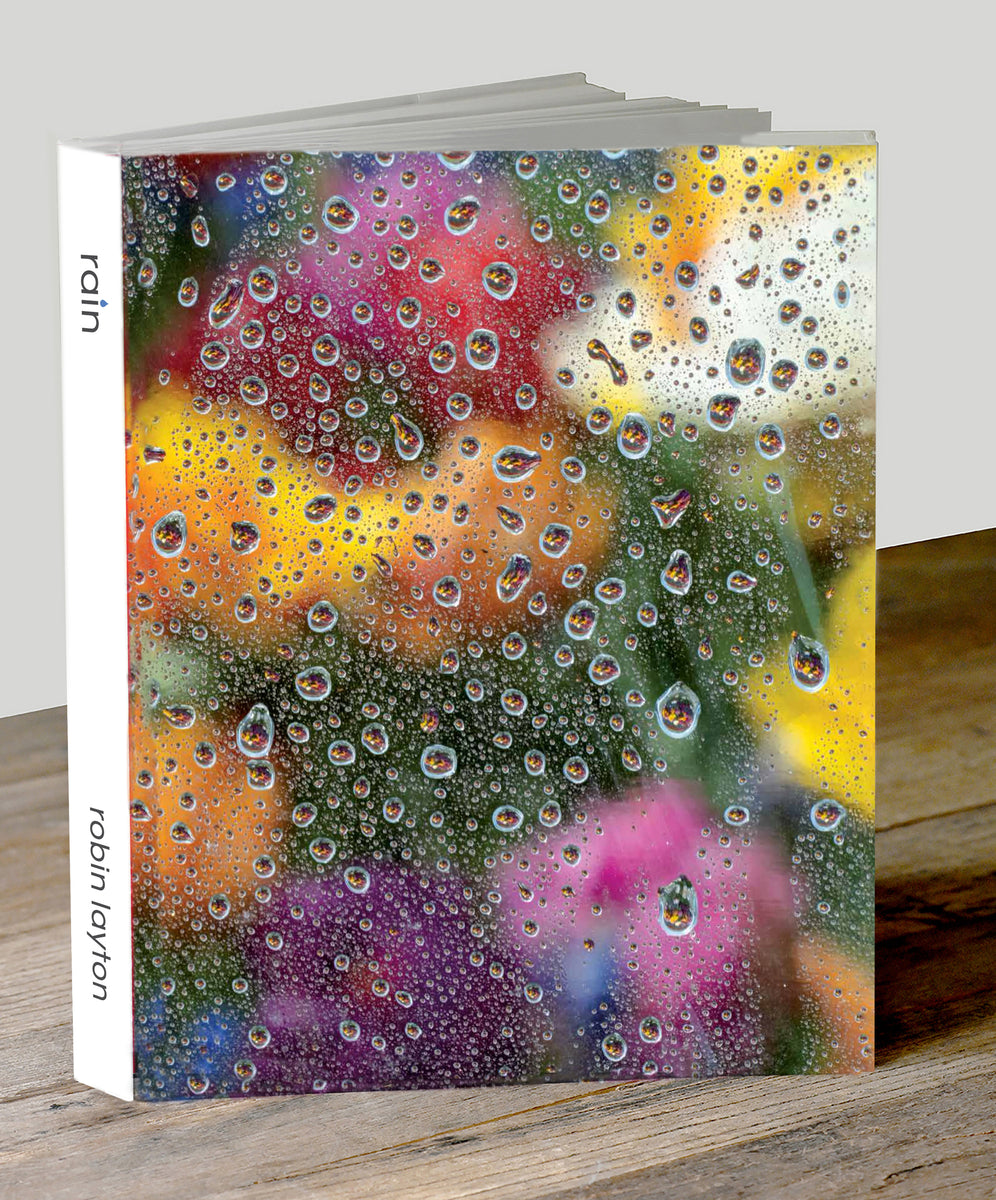 rain – Robin Layton